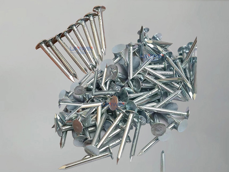 Nail Making Machine Expert - Uniwin Machinery